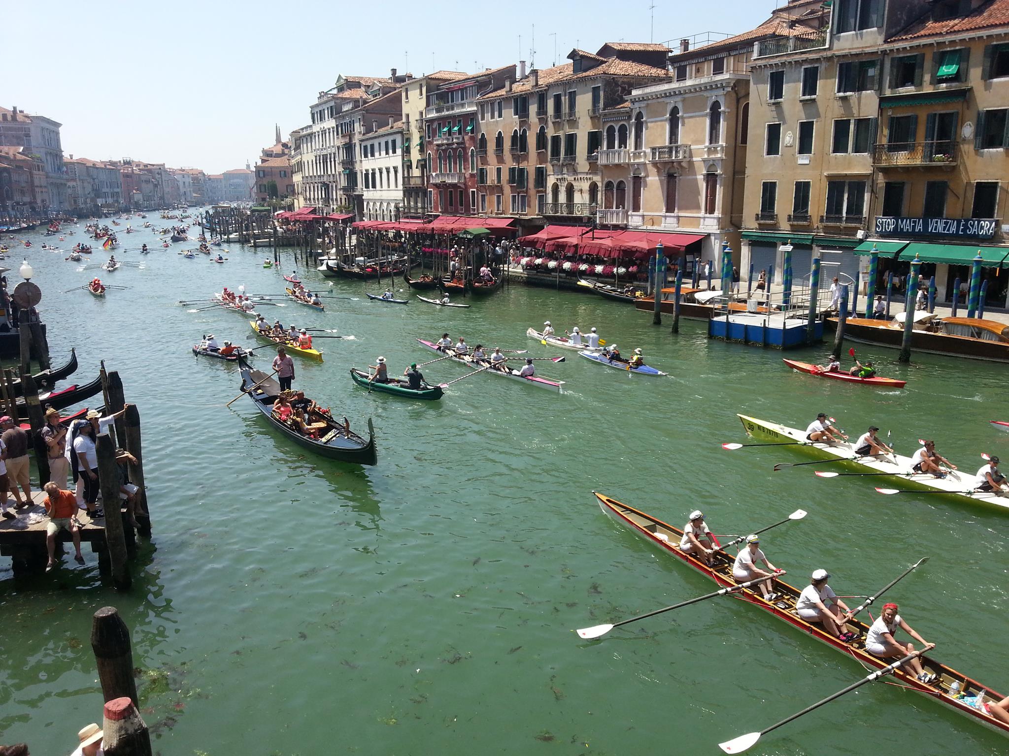 Our Squads – devilsrowing