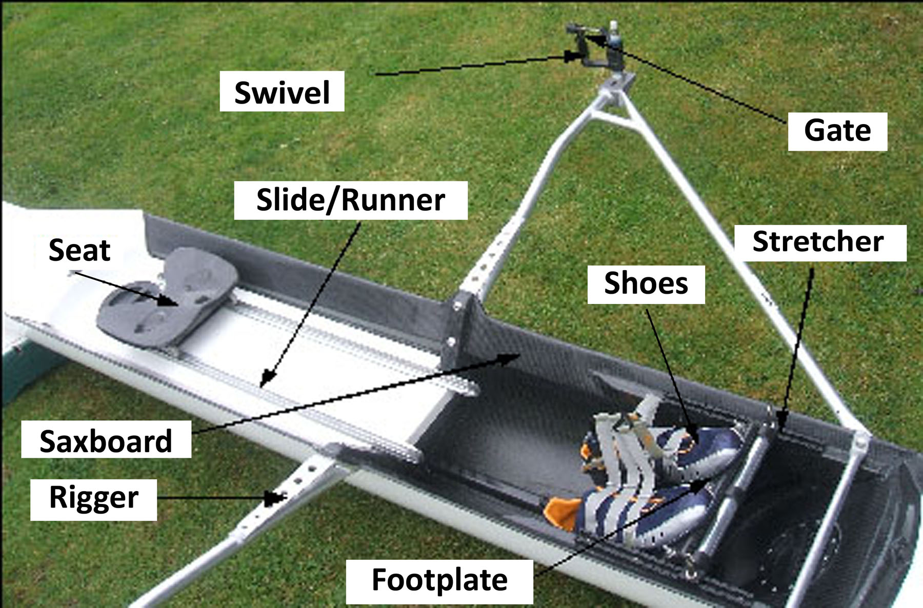 Novices – devilsrowing
