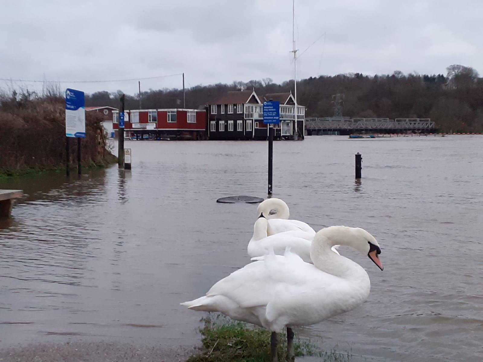 News – devilsrowing